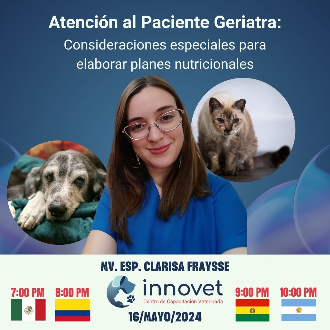 Clase 3 Consideraciones especiales para elaborar planes nutricionales ...